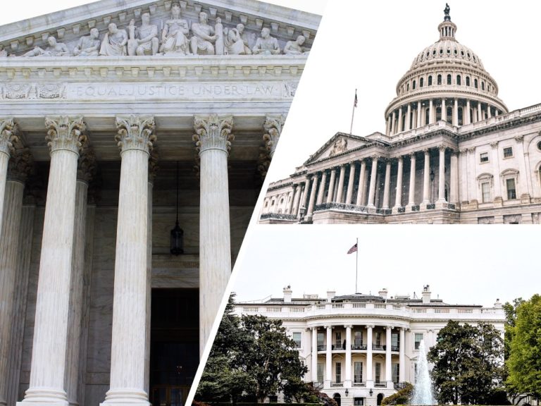 Three Branches of Government: Activity Ideas that Engage